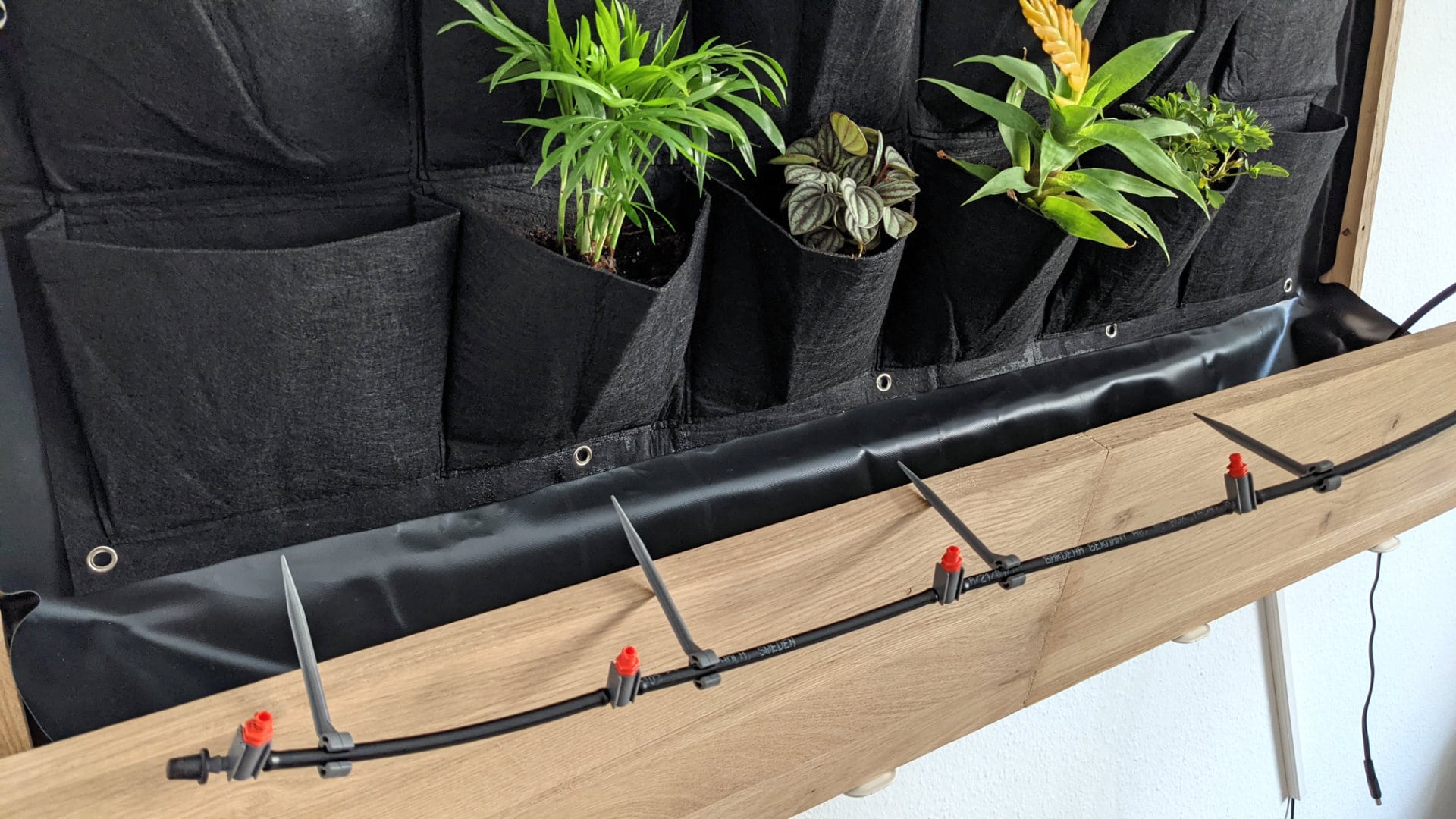 Automating a living wall of dozens of plants - stop wasting time » The ...